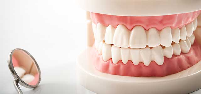 Who Pioneered The Science of Orthodontics? - South East Orthodontics